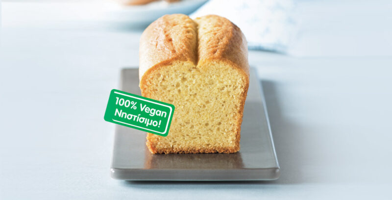IREKS vegan & sugar-free cake από την LAOUDIS FOODS - Bakery-pastry.gr