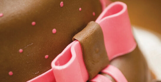 Σοκολάτες Artchoc IRCA για σοκολατένια γλυπτική από την LAOUDIS FOODS ...